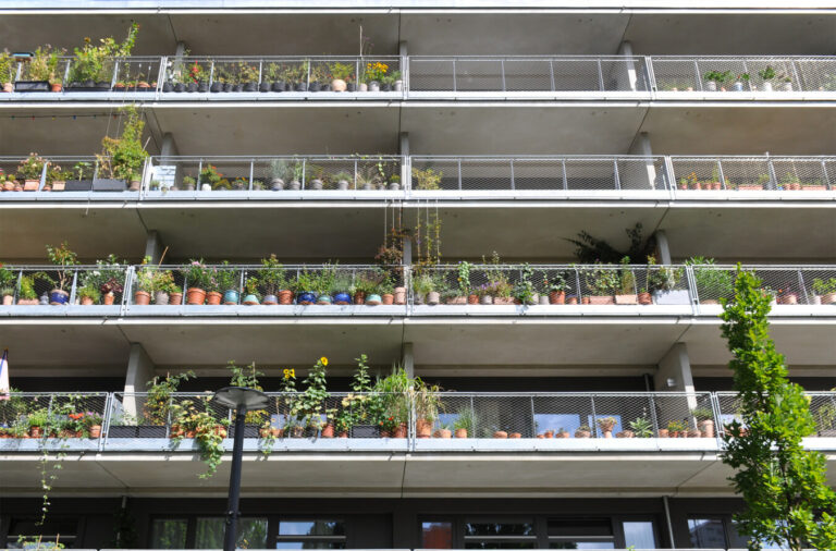 Green façade - Building Social Ecology